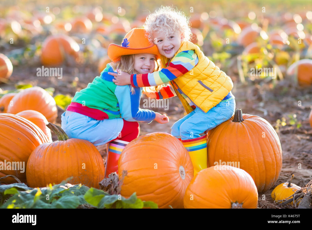 Little girl and boy picking pumpkins on Halloween pumpkin patch ...