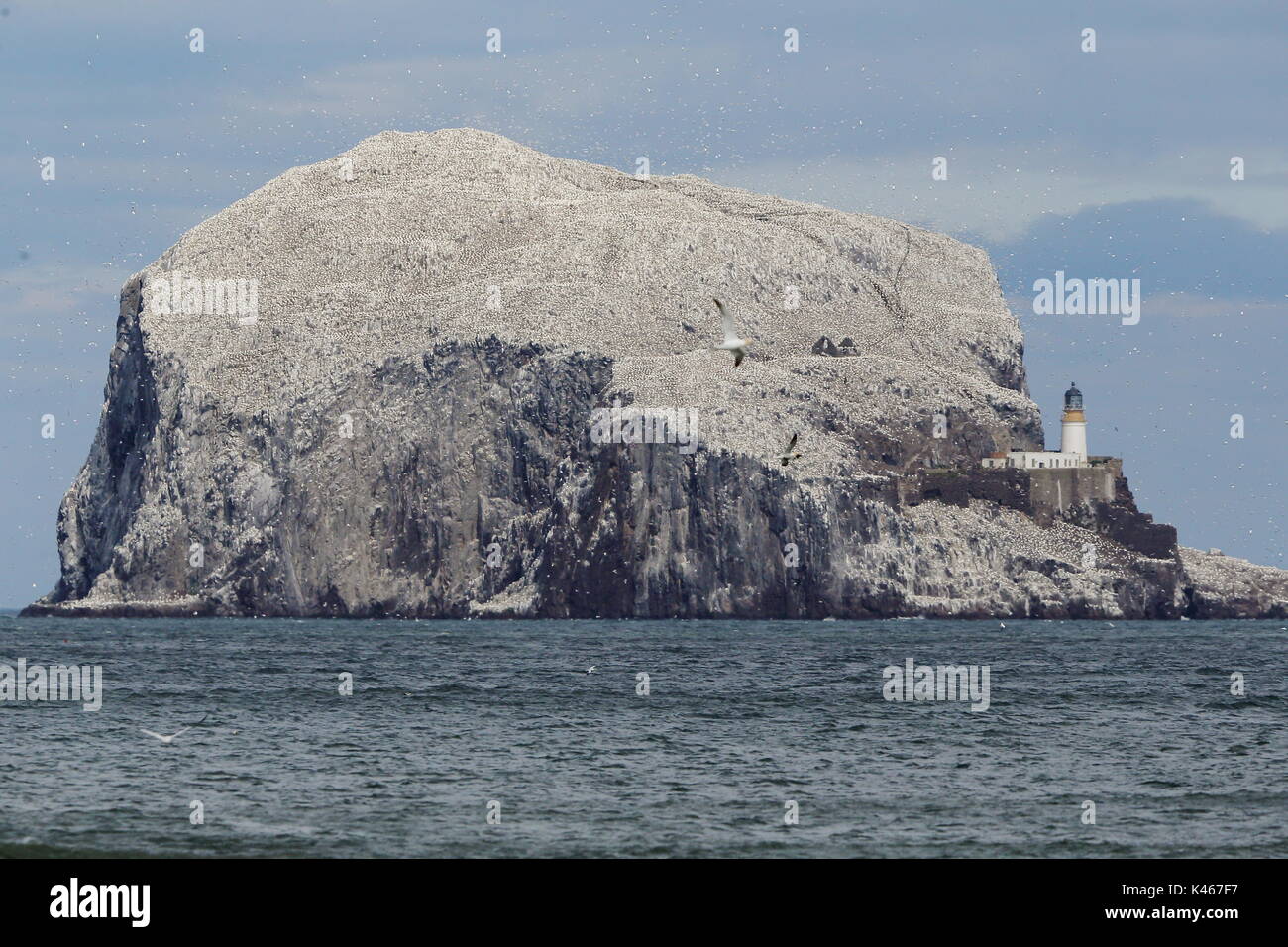 Bass rock prison hi-res stock photography and images - Alamy