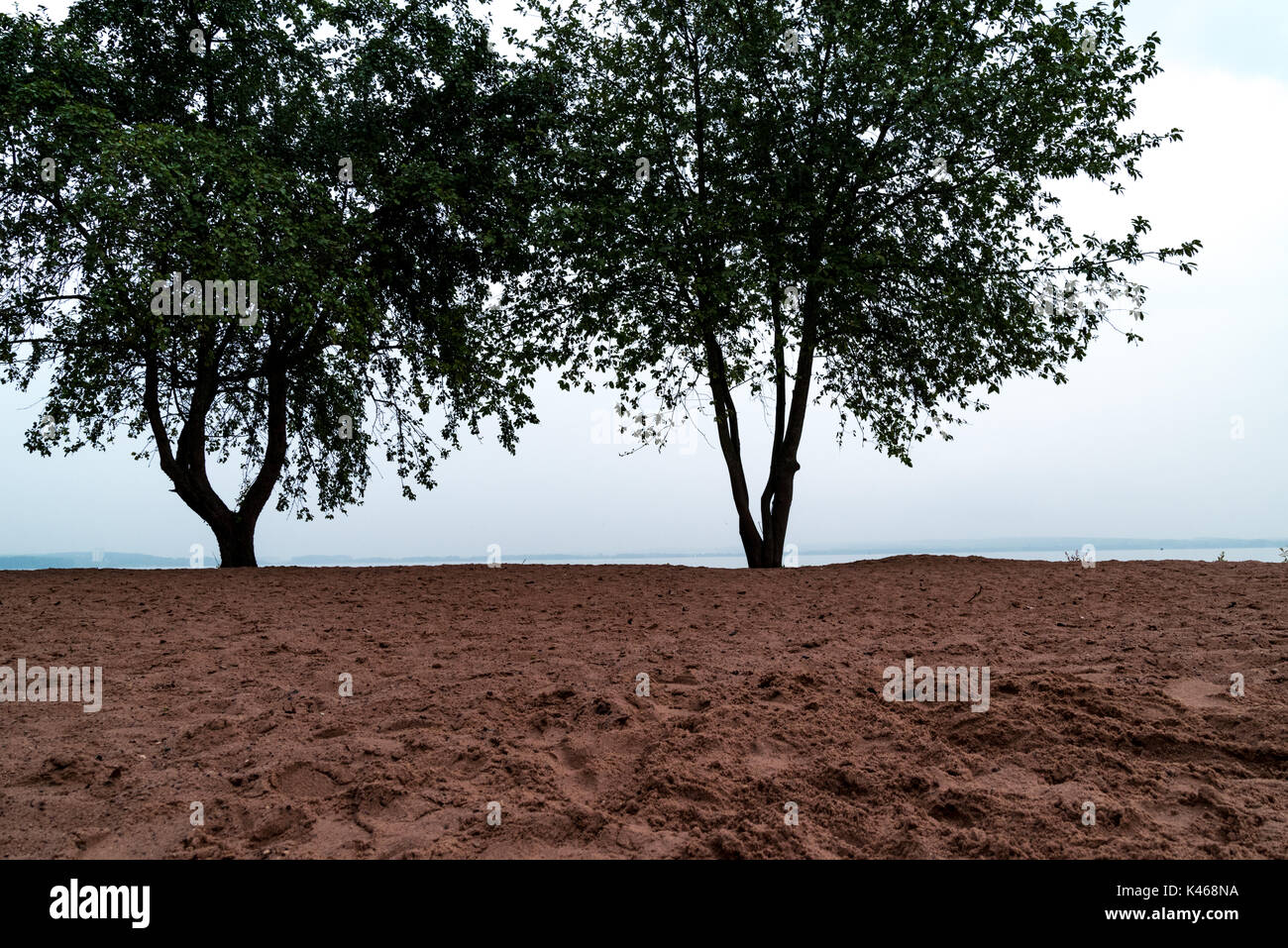 Isolated tree and lake during light rain. Gray colors and foggy weather ...