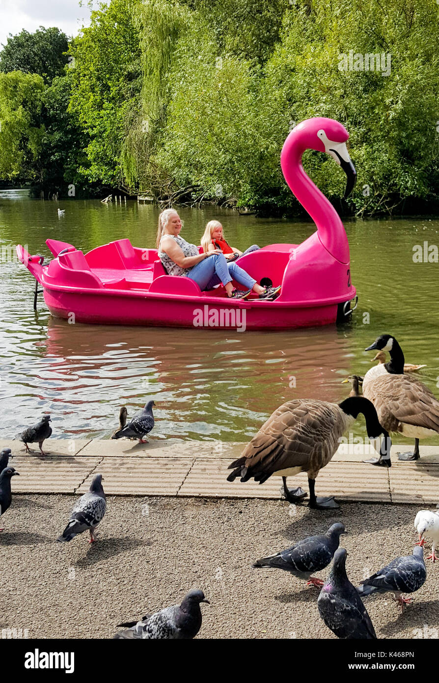 Nature enthusiasts enjoy the lake amongst ducks and geese at Alexandra ...