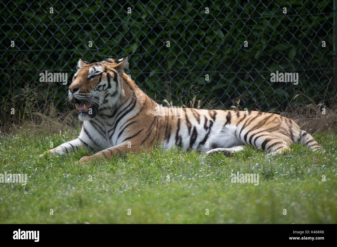 Drive through Safari Park Varallo Pombia Novara Italy Lake Maggiore ...