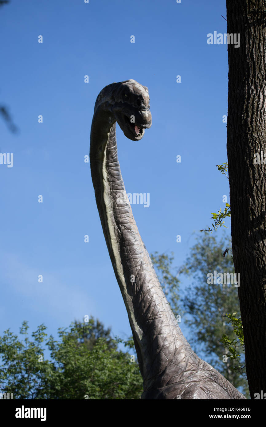 Drive through Safari Park Varallo Pombia Novara Italy Lake Maggiore ...