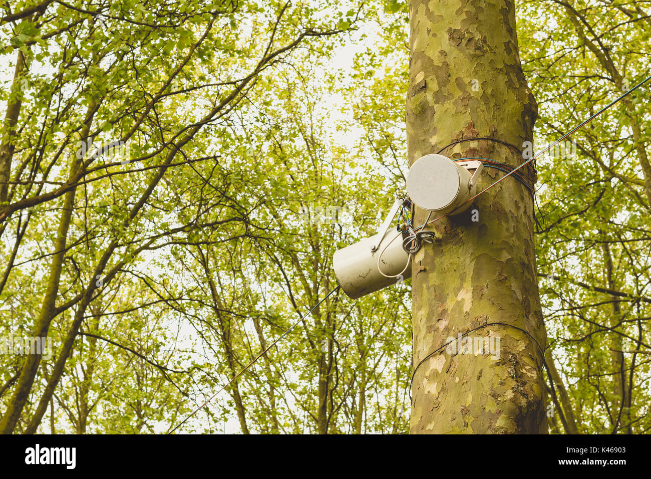 Stadium speaker system hi-res stock photography and images - Alamy