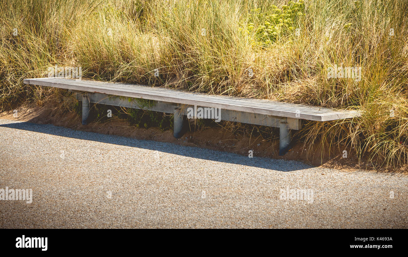 wooden bench in the middle of the verdure of a stump of sand Stock ...