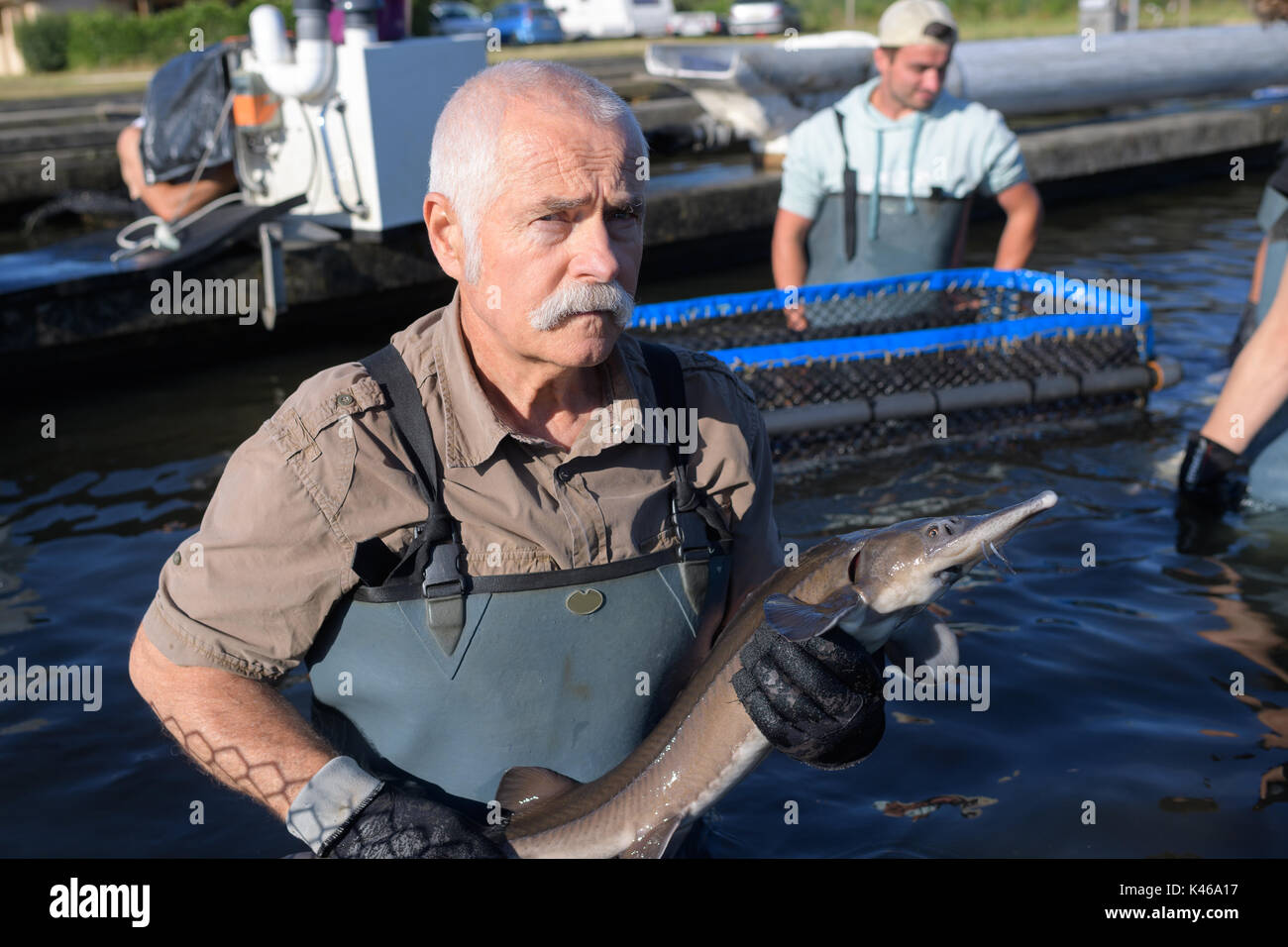 fisherman at work Stock Photo - Alamy