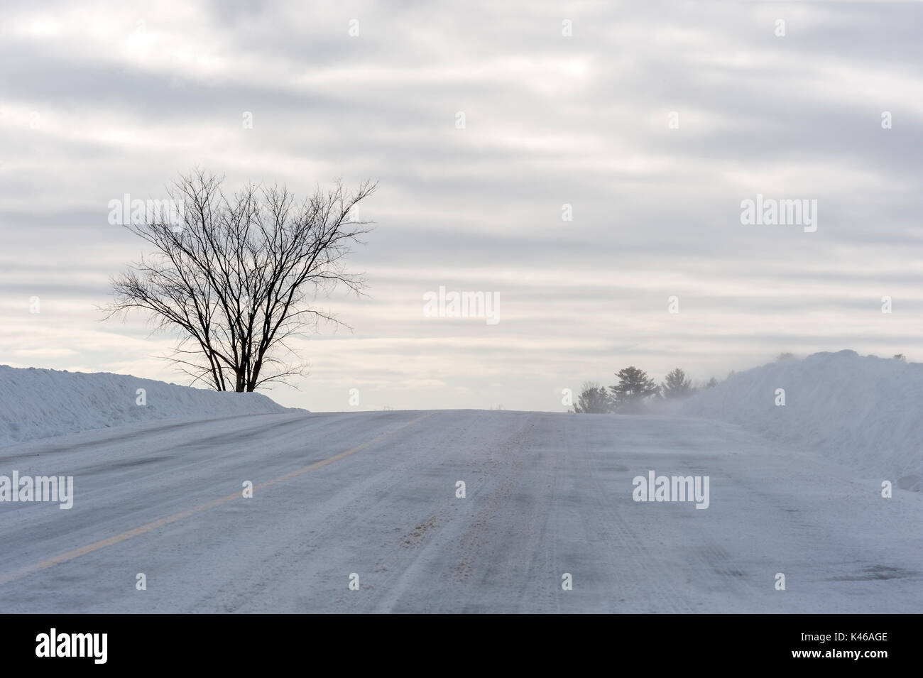 Tree covered road hi-res stock photography and images - Alamy