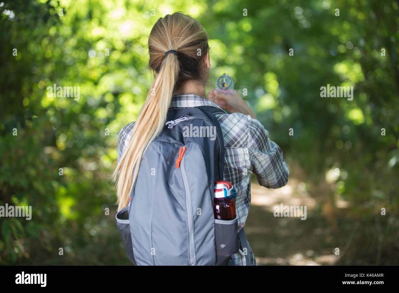 beautiful woman hiking in the pine forest alone Stock Photo - Alamy