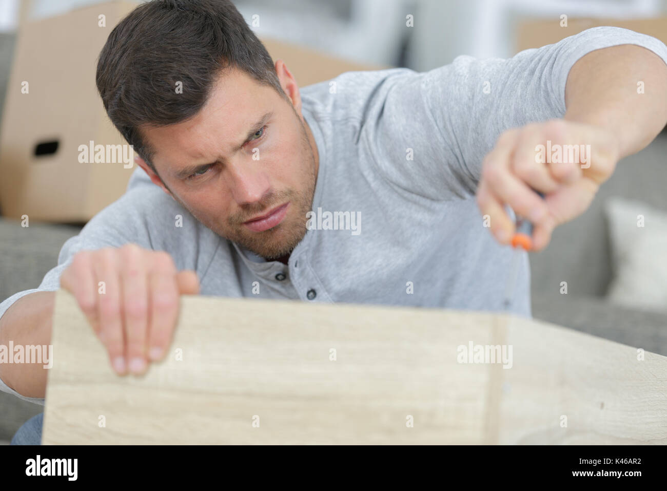 Manual furniture assembly men assembling hi-res stock photography and ...