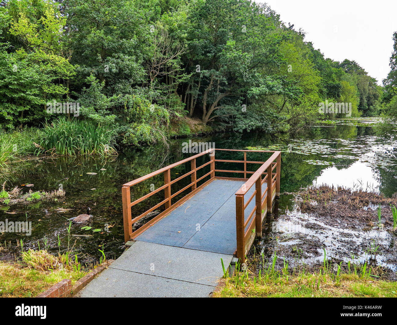 A small dock over a lake with trees surrounding Stock Photo - Alamy