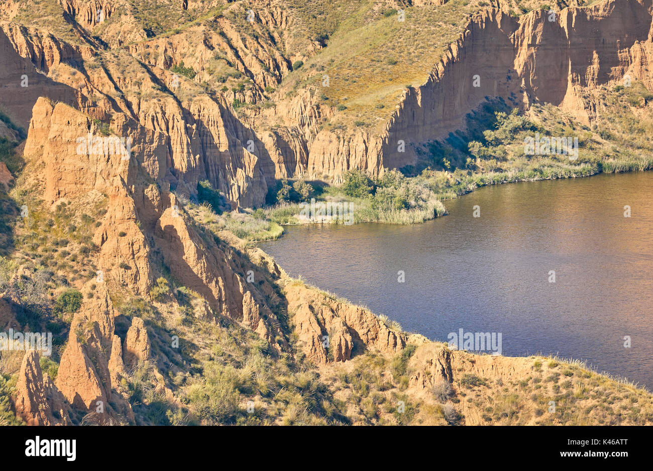 Ecosistema natural hi-res stock photography and images - Alamy