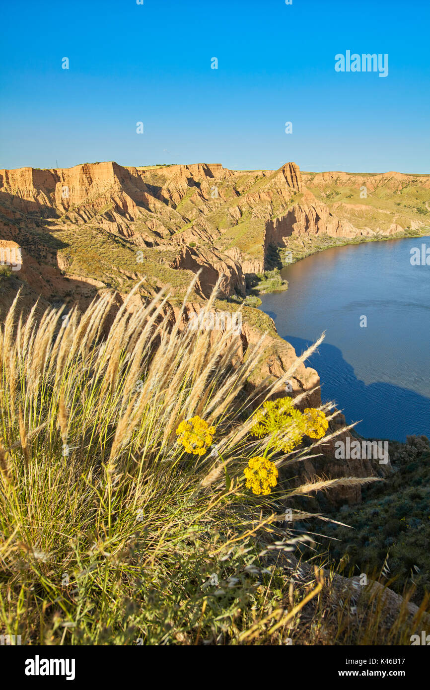 Gullied clay hi-res stock photography and images - Alamy