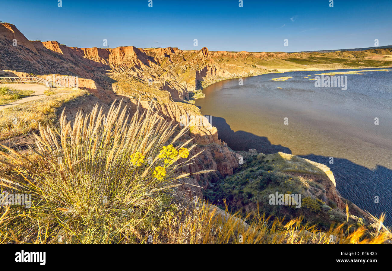 Gullied clay hi-res stock photography and images - Alamy