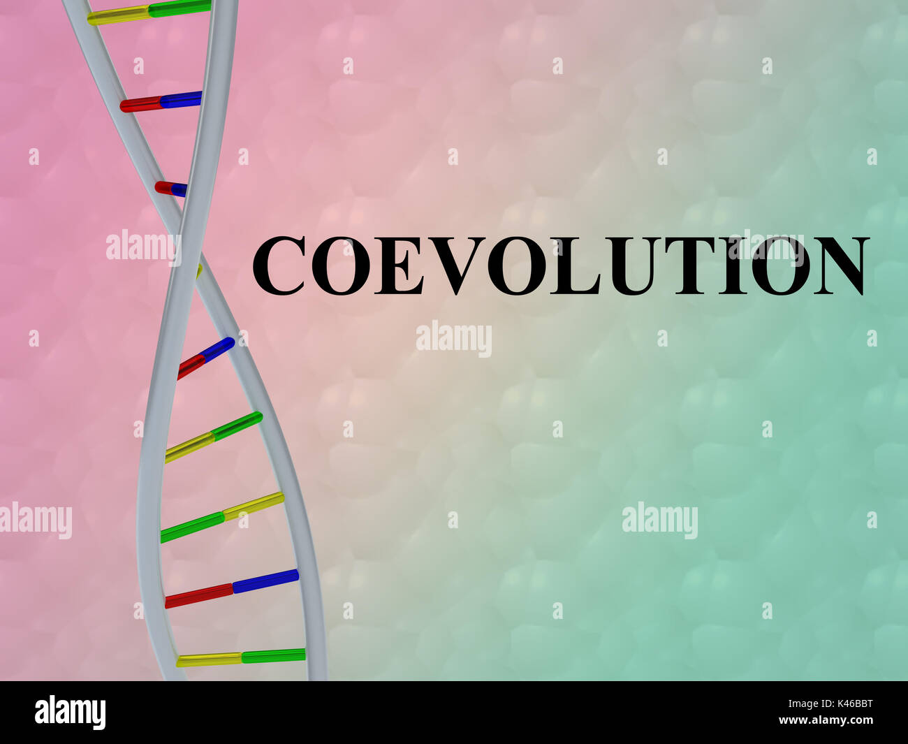 3D illustration of "COEVOLUTION" script with DNA double helix ...