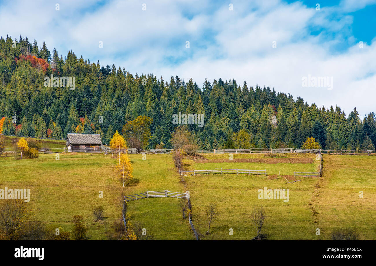 Agricultural forest hi-res stock photography and images - Alamy