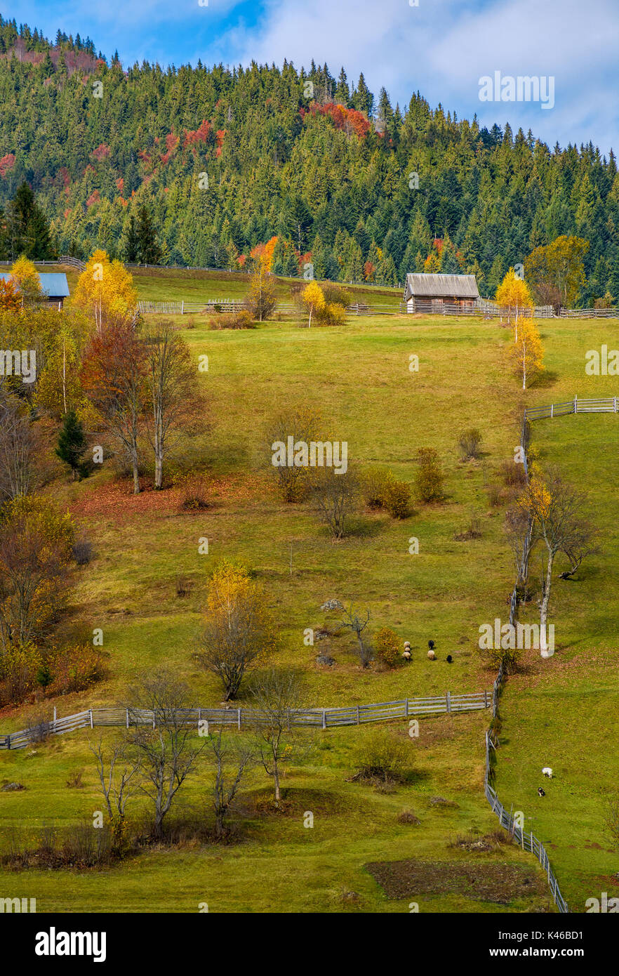 Agricultural forest hi-res stock photography and images - Alamy
