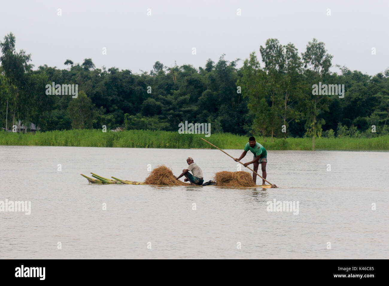 Men carrying livestock feeds on a banana raft through flood water at ...