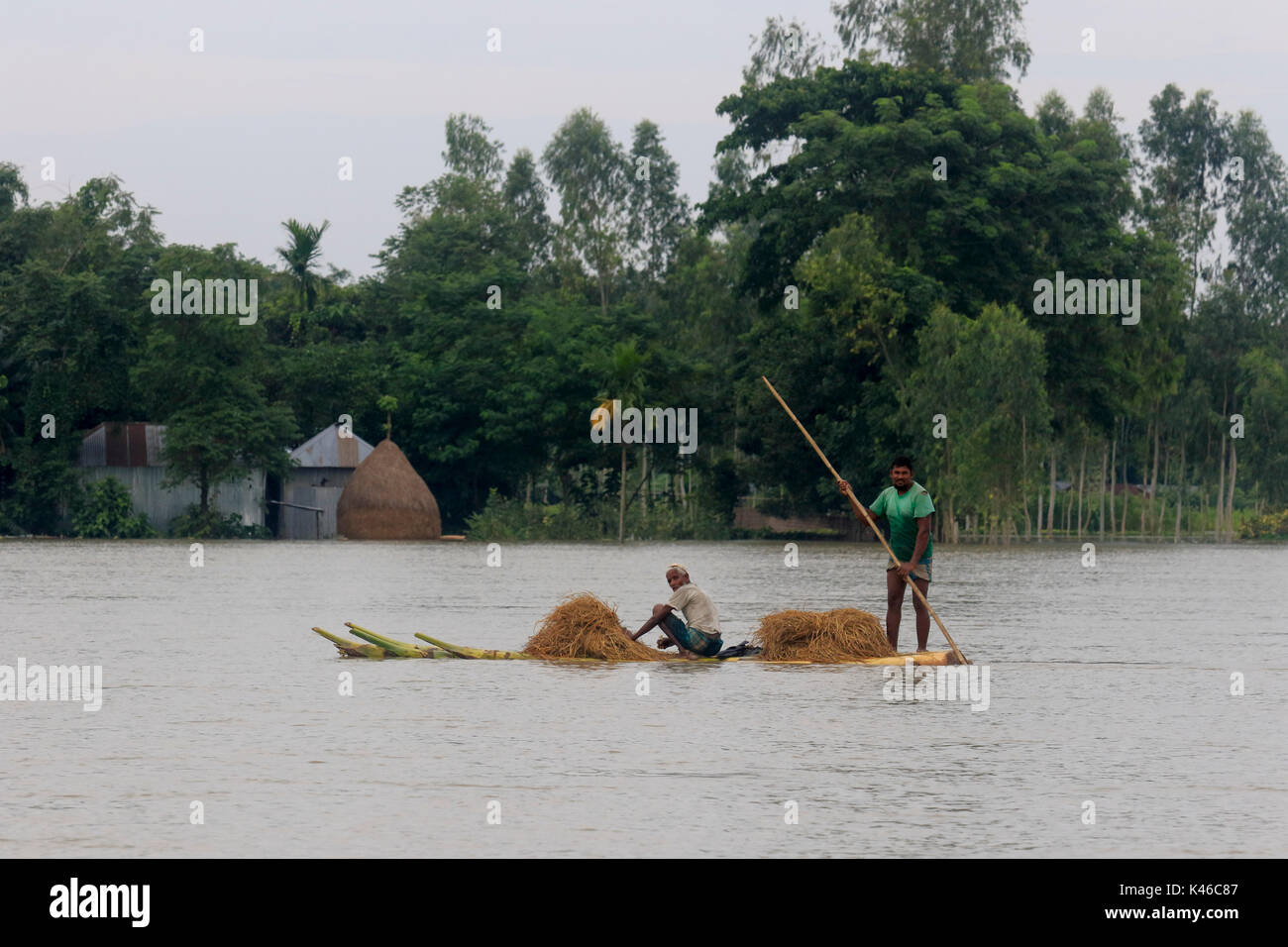Men carrying livestock feeds on a banana raft through flood water at ...