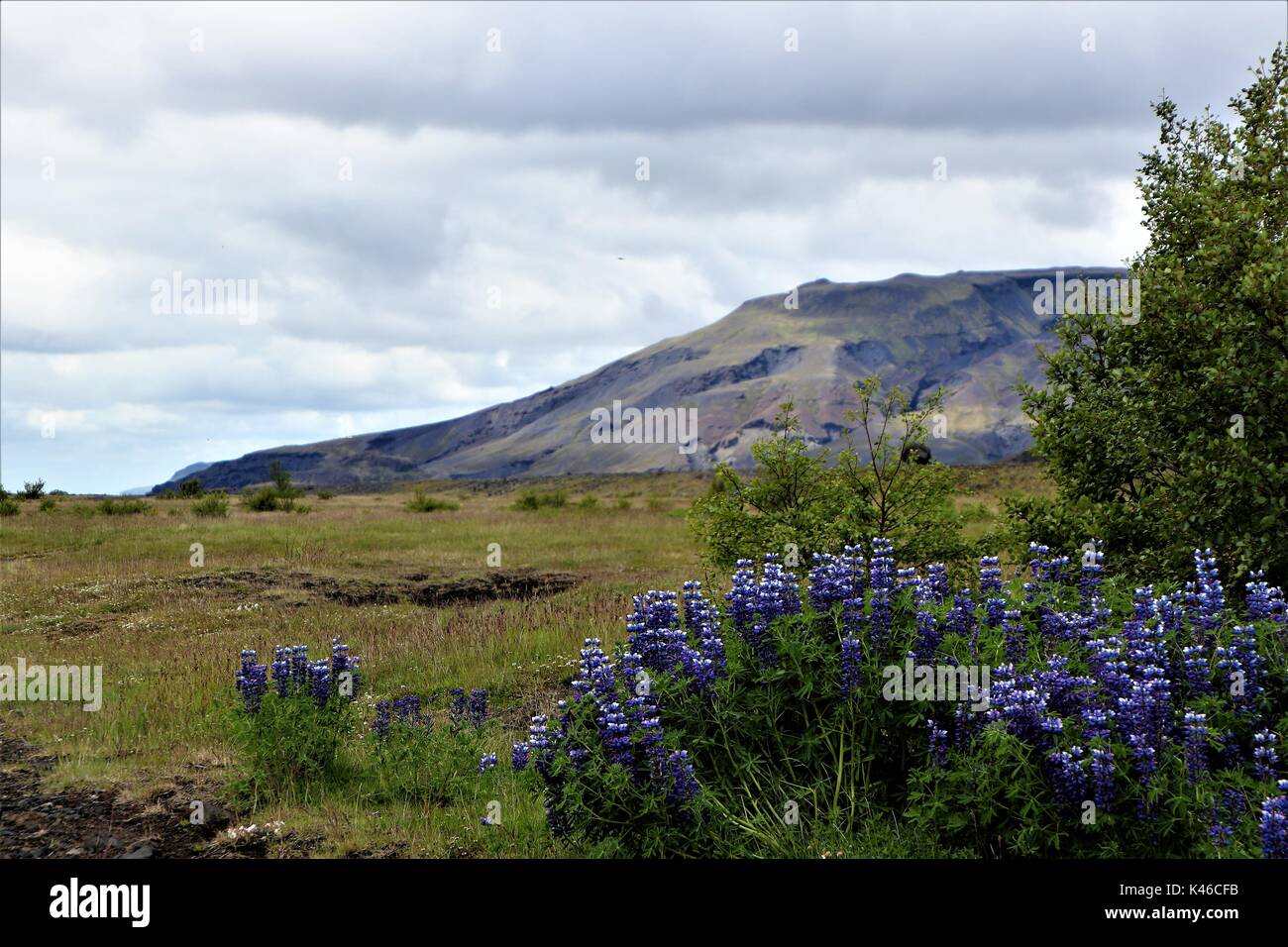 Dosmary Pool ,Cornwall Stock Photo - Alamy