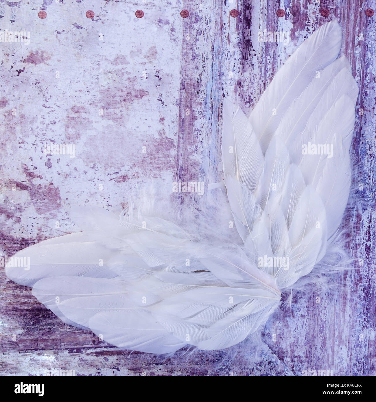 Angel wings hi-res stock photography and images - Alamy