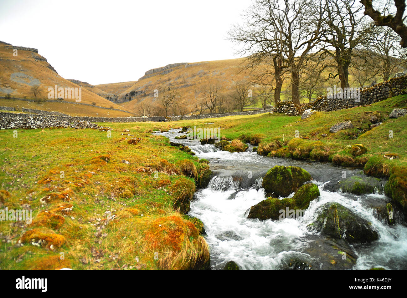 Stream in Yorkshire Dales Stock Photo - Alamy