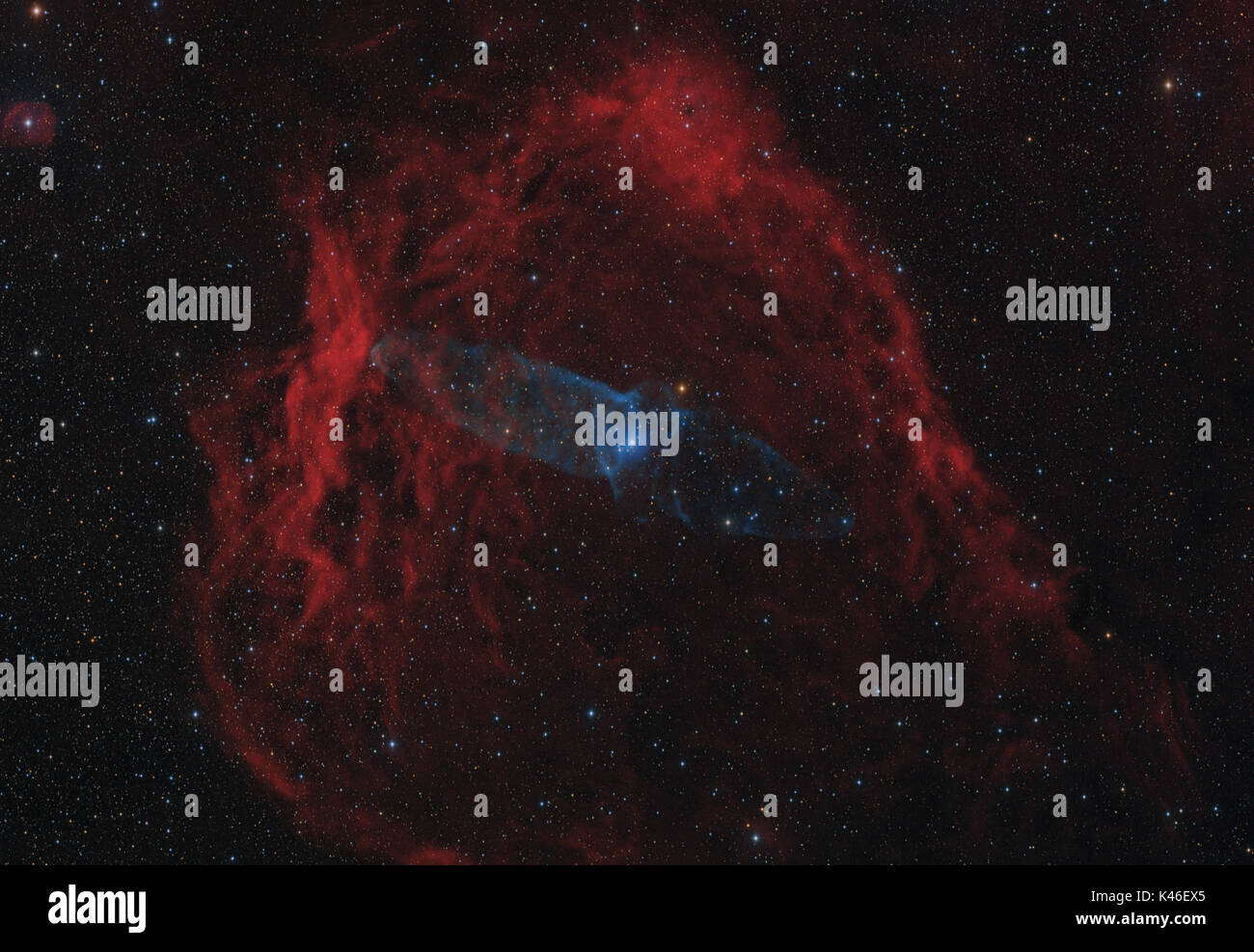 Flying Bat and Squid Nebulae in Cepheus Stock Photo - Alamy