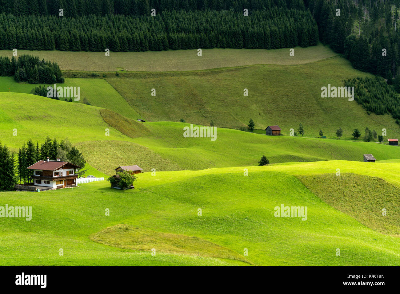 Alm bei Berwang, Reutte, Tirol, Österreich | alps around Berwang ...
