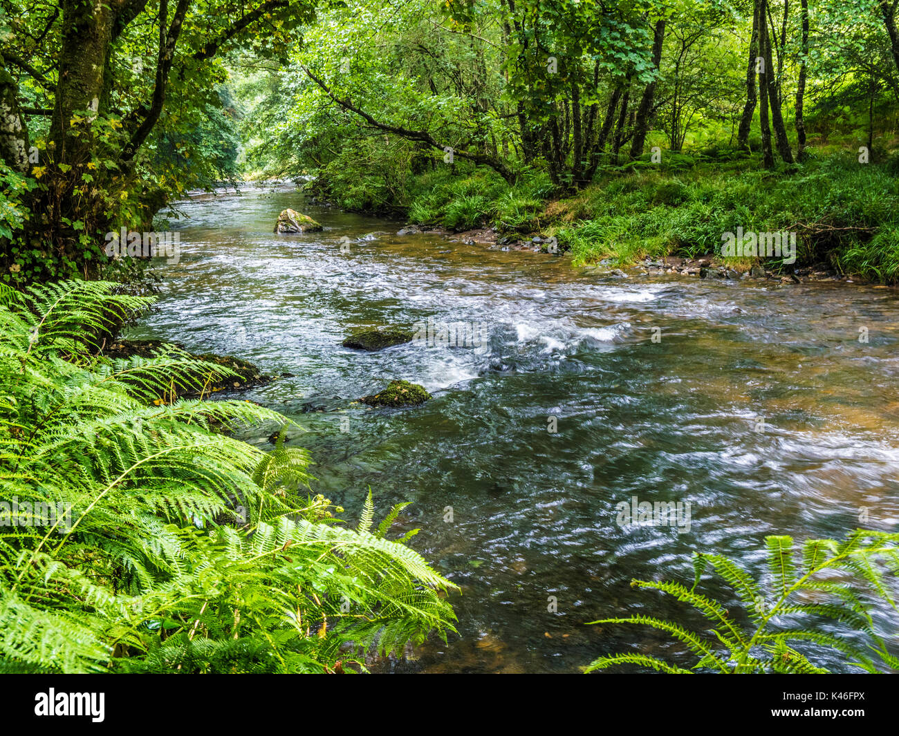 The River Barle in the Exmoor National Park, Somerset Stock Photo - Alamy