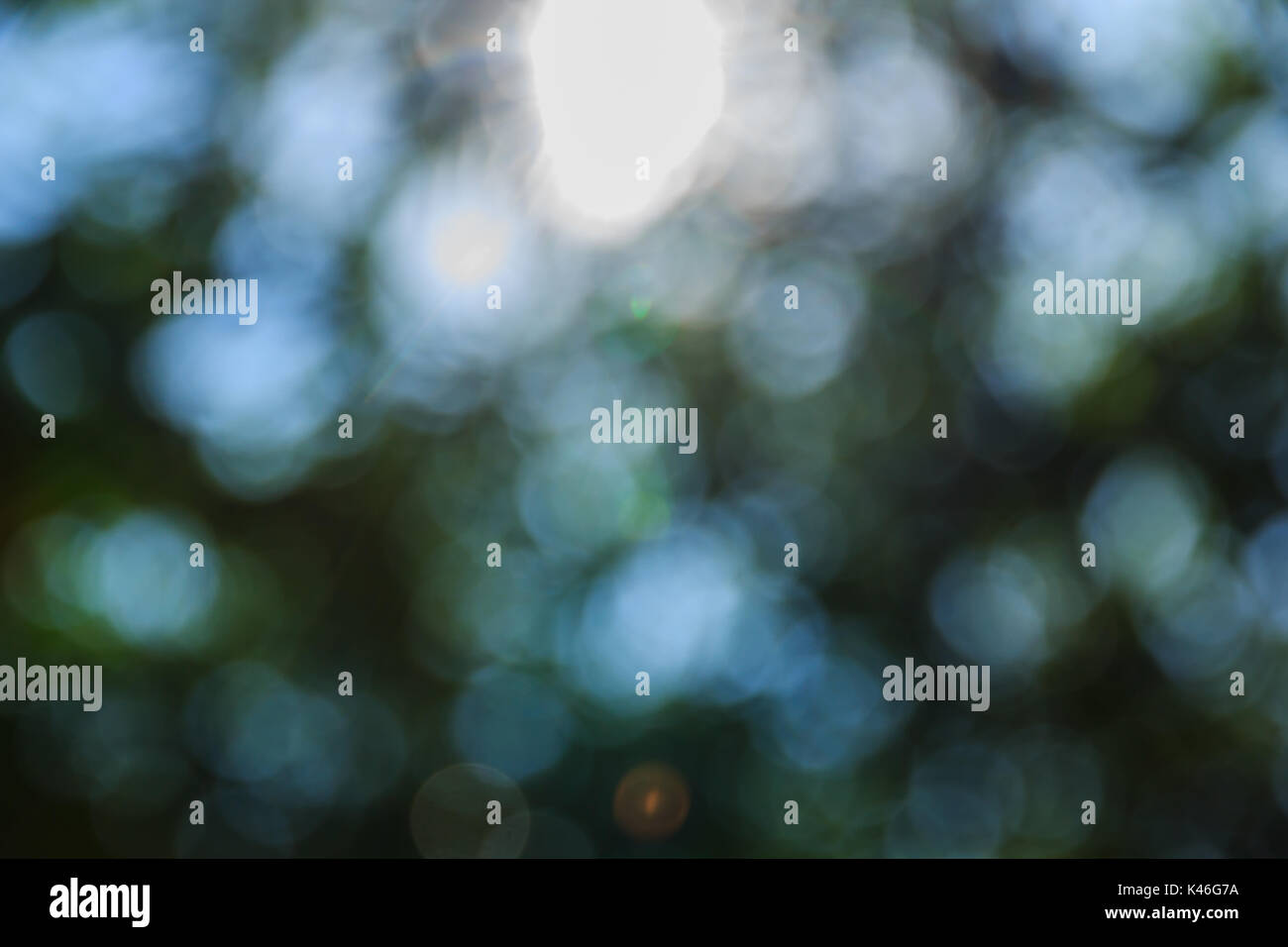 Abstract bokeh and blurred green nature background model is used to ...