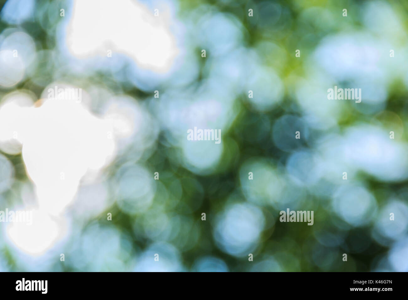 Abstract bokeh and blurred green nature background model is used to ...