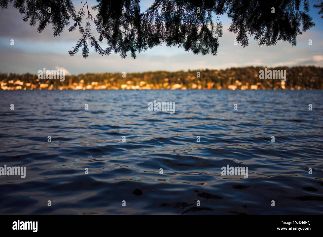 Alpha washington hi-res stock photography and images - Alamy