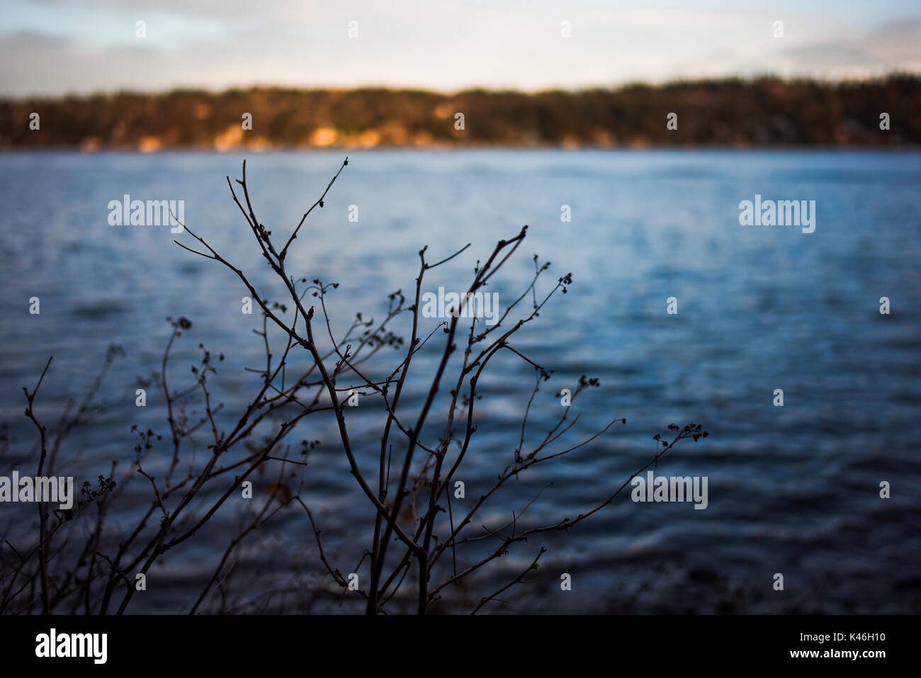 Seattle waterfront sunset on hi-res stock photography and images - Alamy
