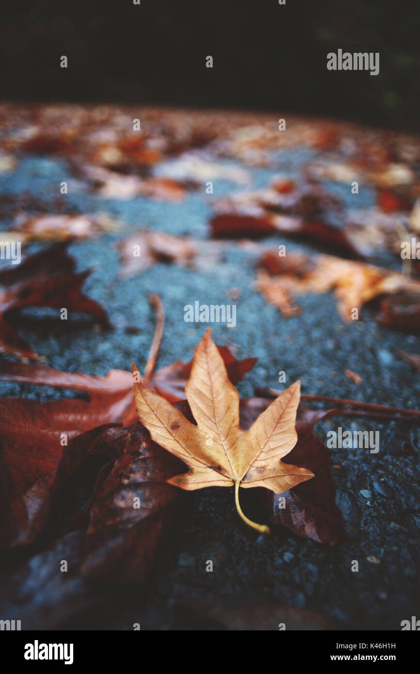 Abstract shapes in nature photography hi-res stock photography and ...