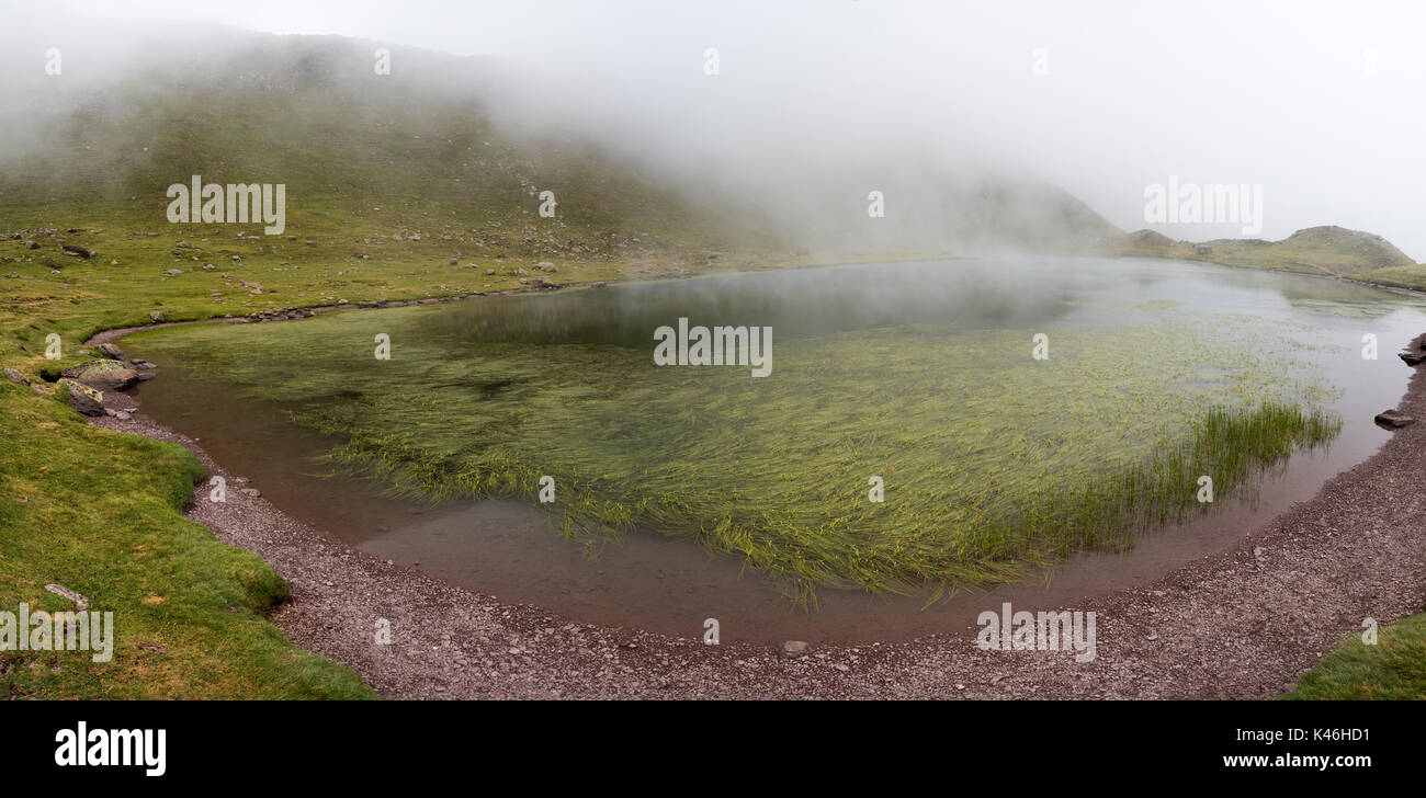 Ibon hi-res stock photography and images - Alamy