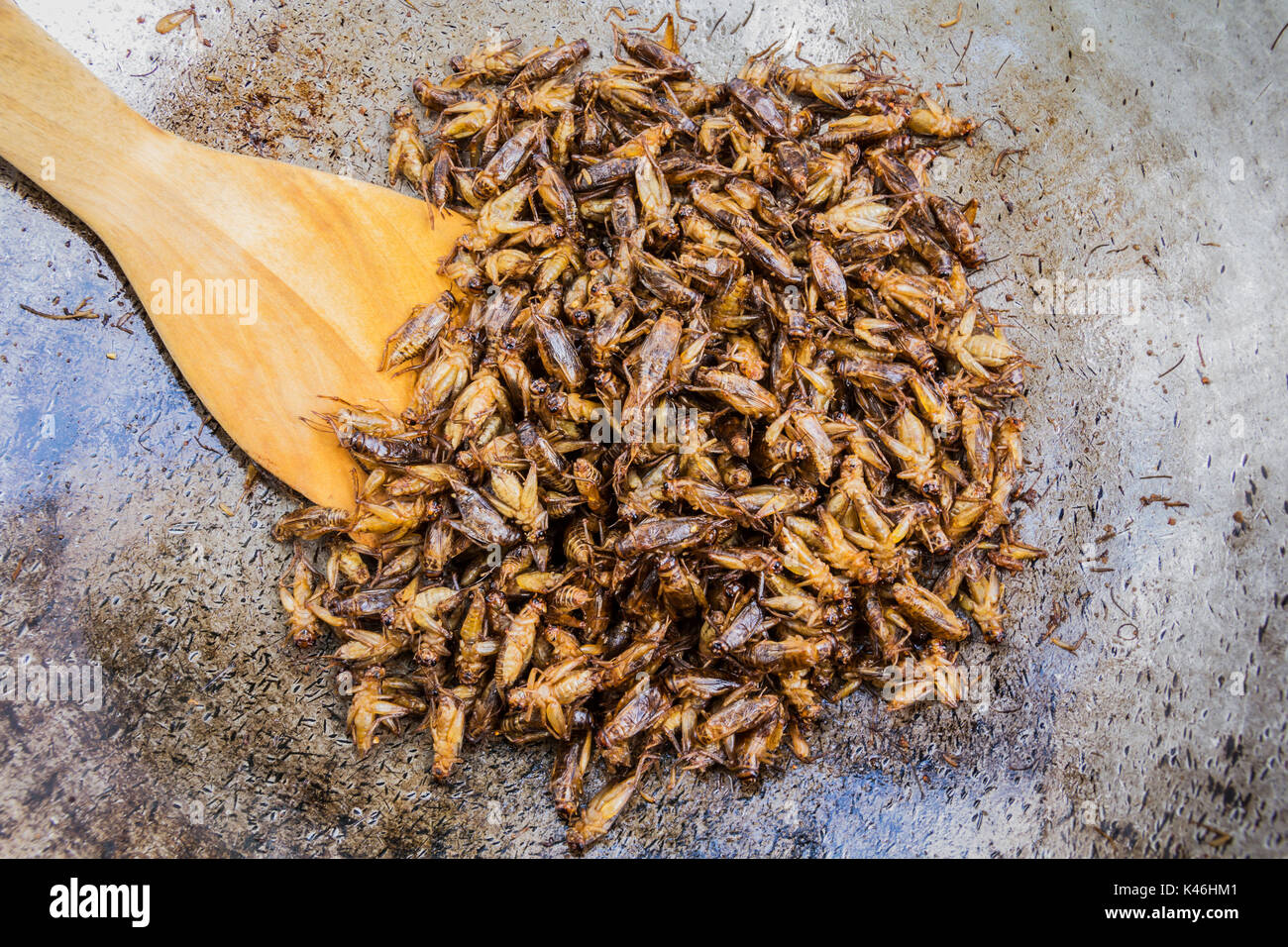 Fried insects as a snack in Thailand Stock Photo - Alamy