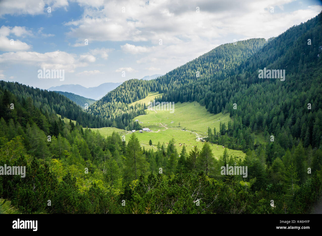 High mountain pasture in Julian alps Stock Photo - Alamy