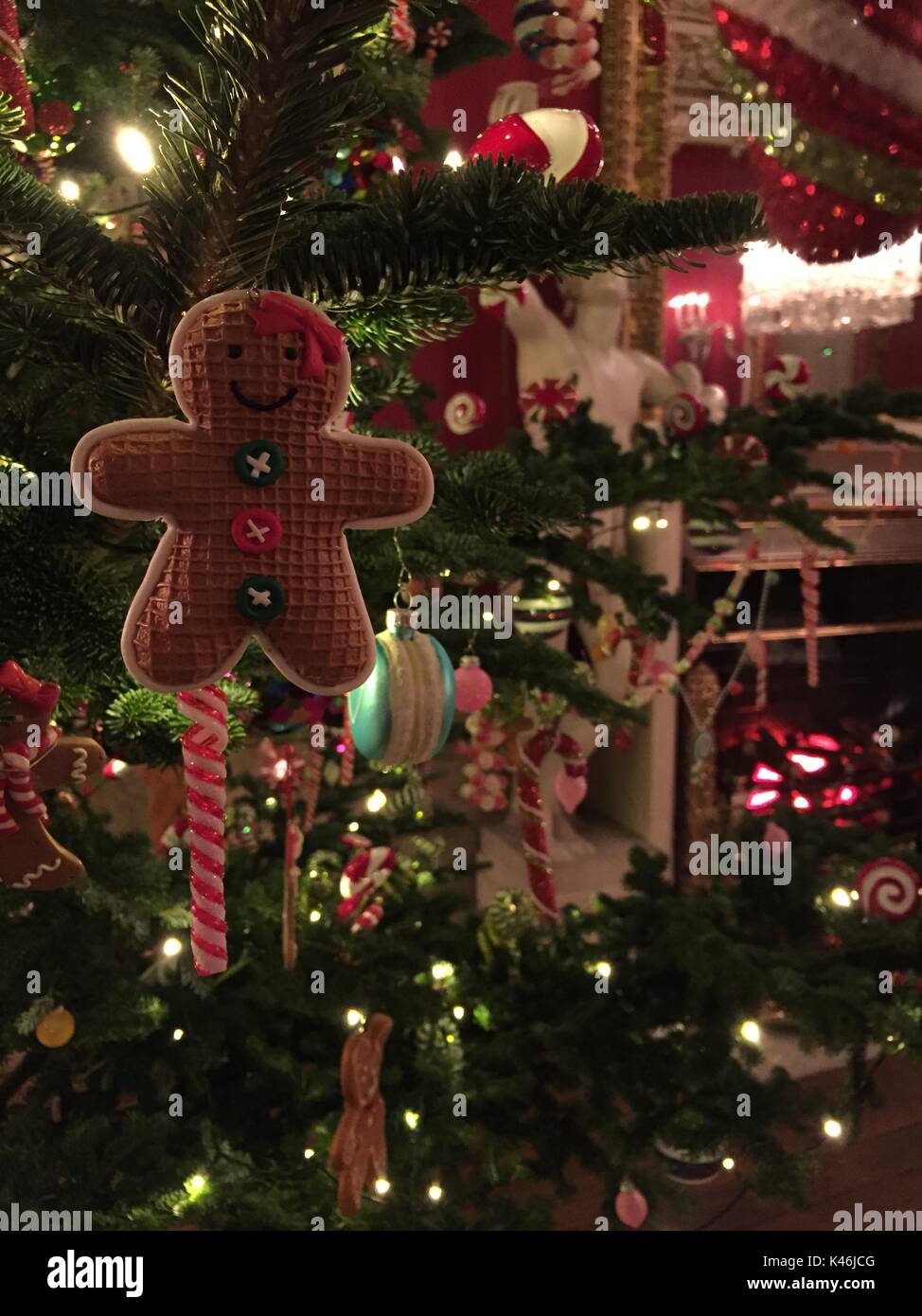 Gingerbread man decoration hangs from a traditional Christmas tree ...