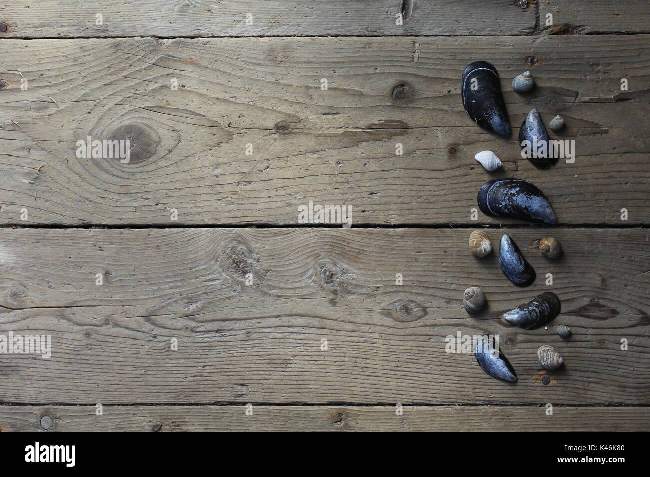 Price list seafood hi-res stock photography and images - Alamy