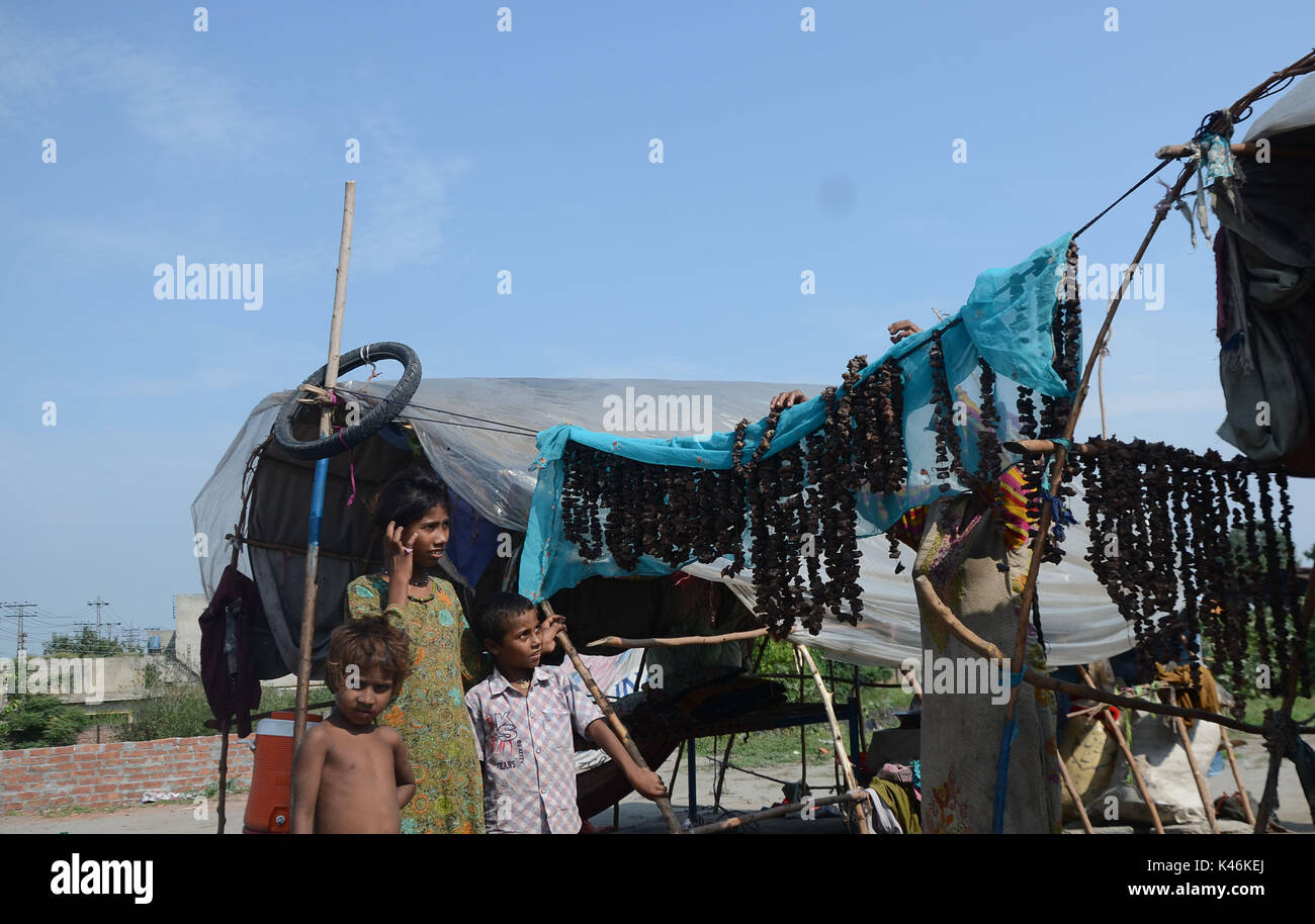 Lahore, Pakistan. 05th Sep, 2017. Gypsy family hang strips of salted ...
