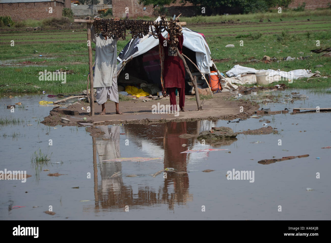 Lahore, Pakistan. 05th Sep, 2017. Gypsy family hang strips of salted ...