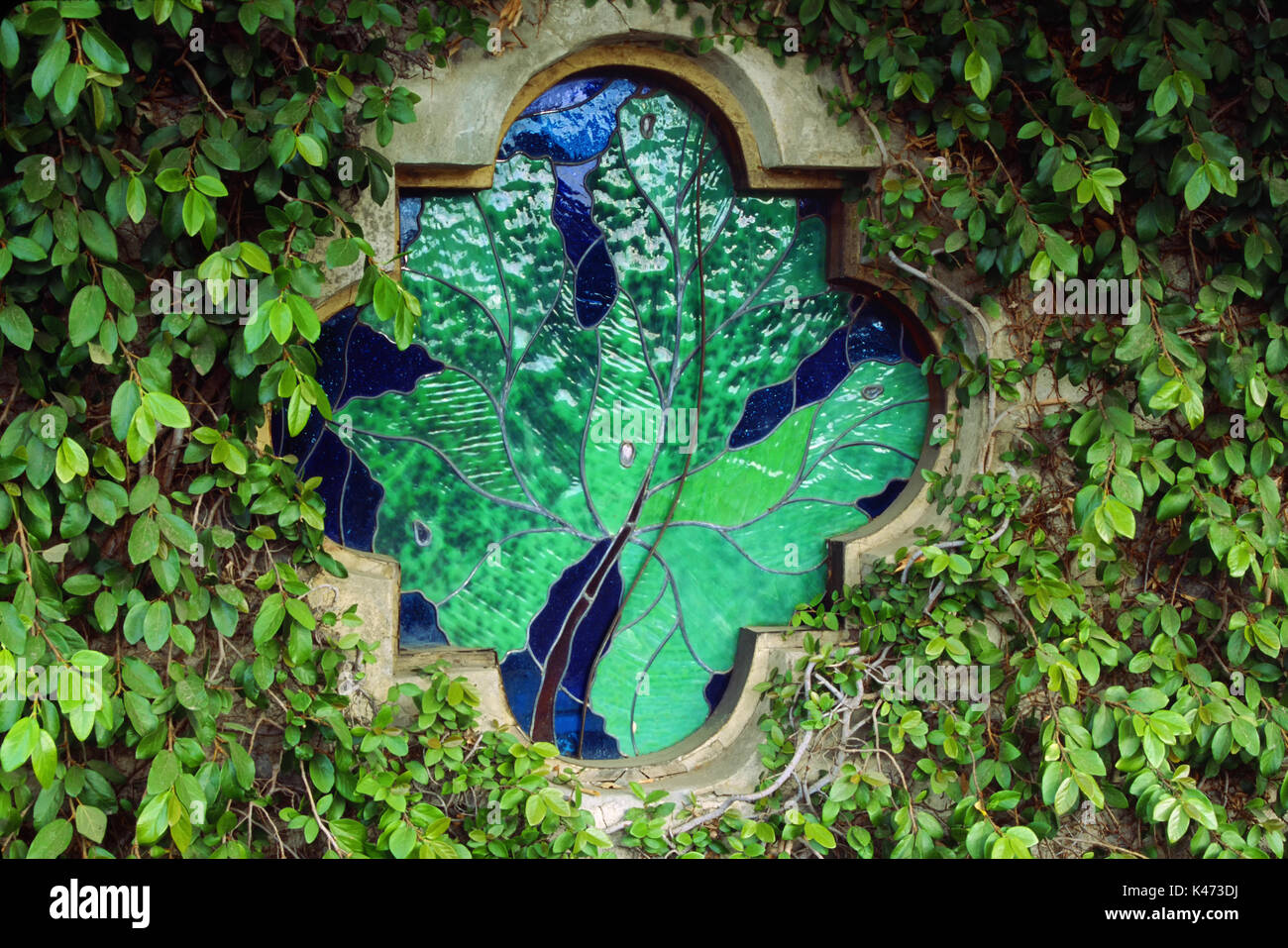 Grape leaf stained glass window surrounded by vines growing on a stone ...