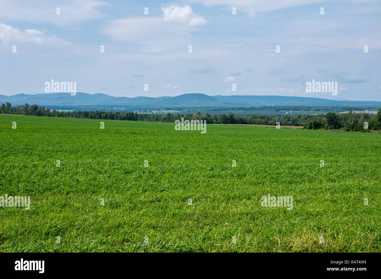 Large field with mountains in the background Stock Photo - Alamy