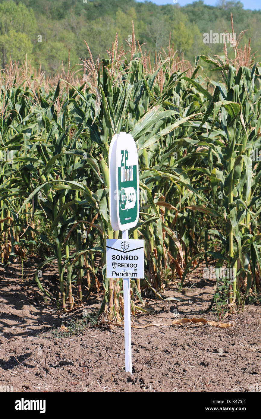 Crop marks hi-res stock photography and images - Alamy