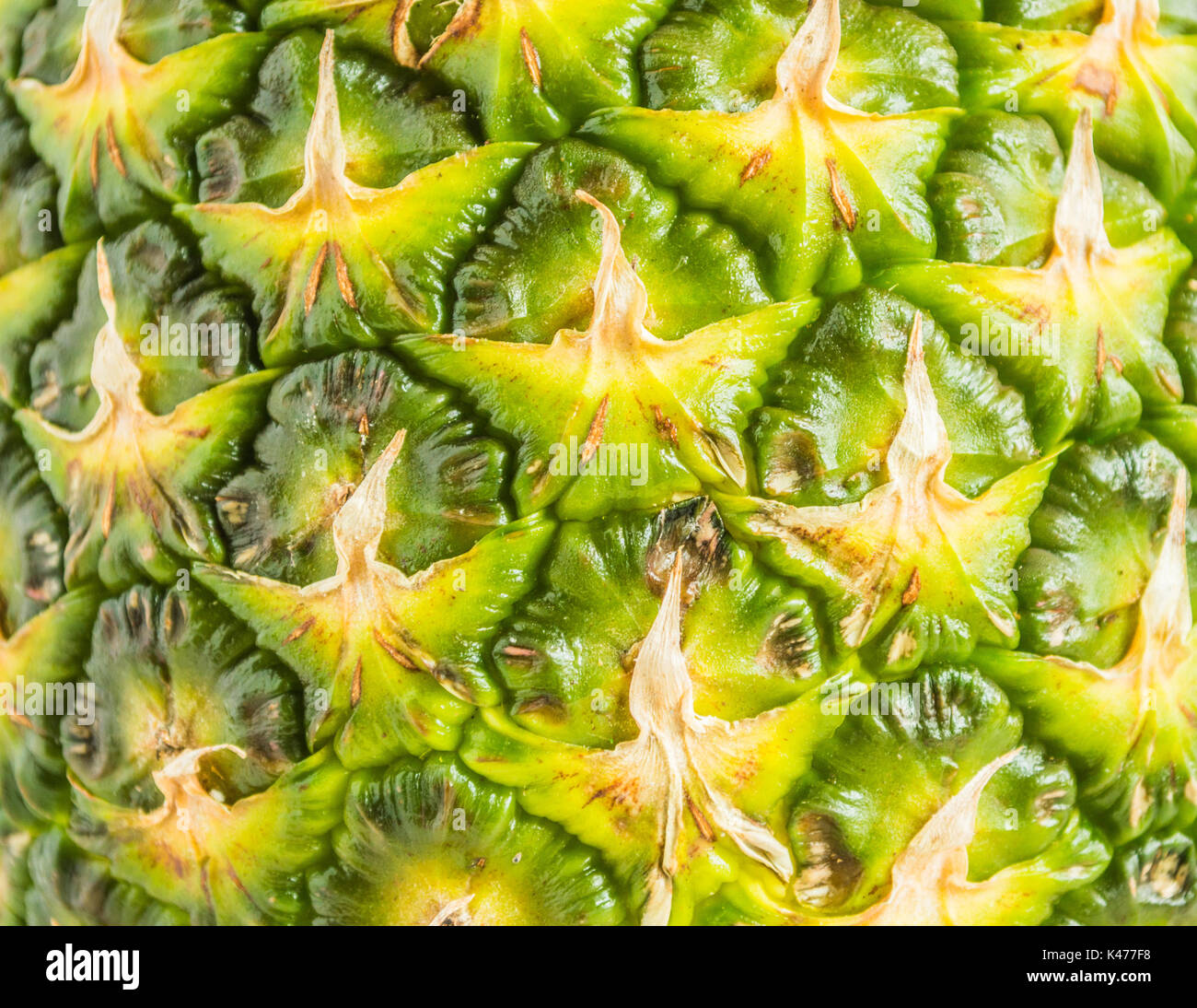 background texture close up of pineapple husk Stock Photo - Alamy