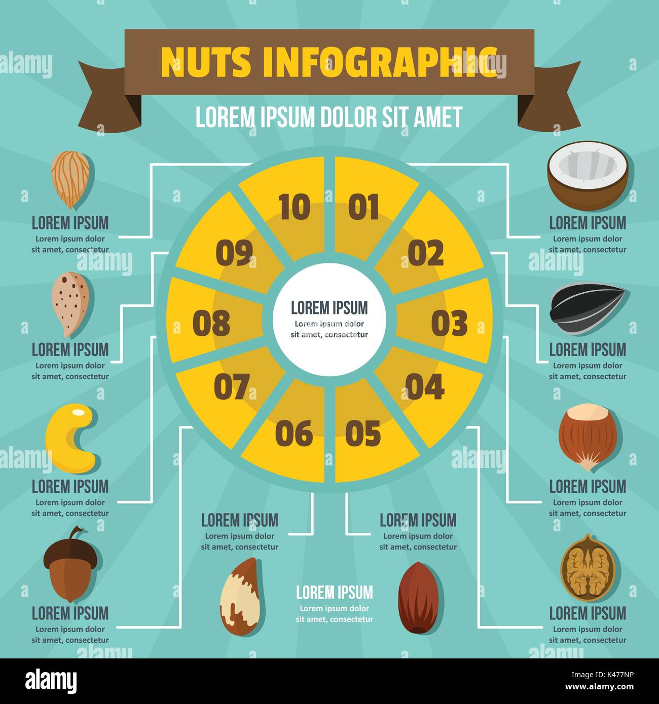 Nuts infographic, flat style Stock Vector Image & Art - Alamy