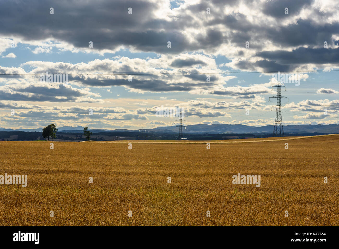 Summer perth hi-res stock photography and images - Alamy