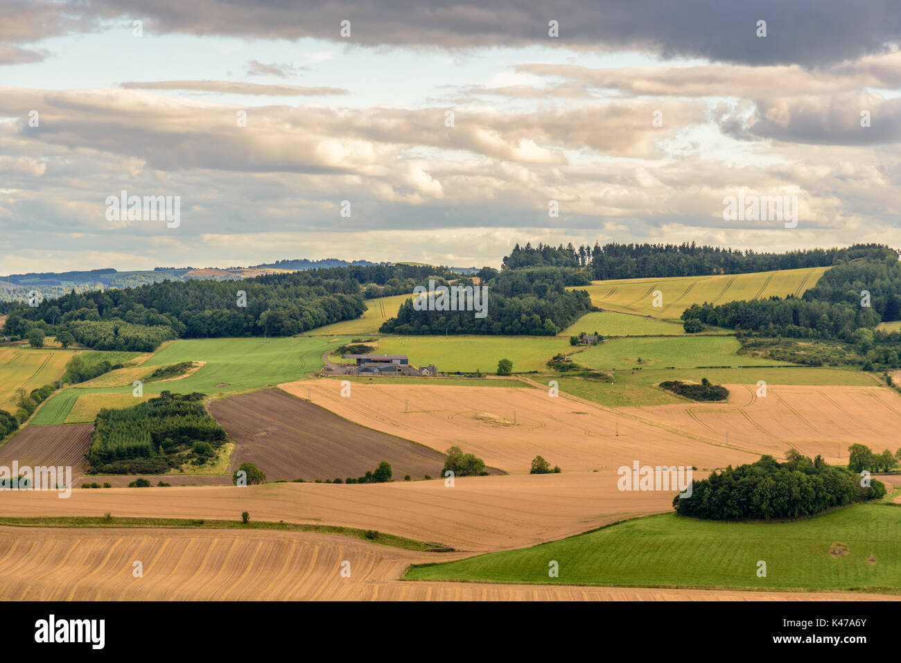 Summer perth hi-res stock photography and images - Alamy