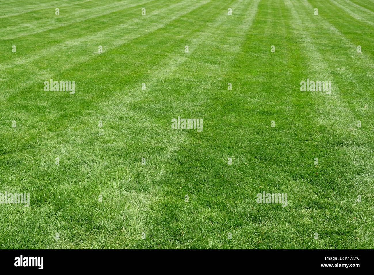 Freshly cut grass hi-res stock photography and images - Alamy