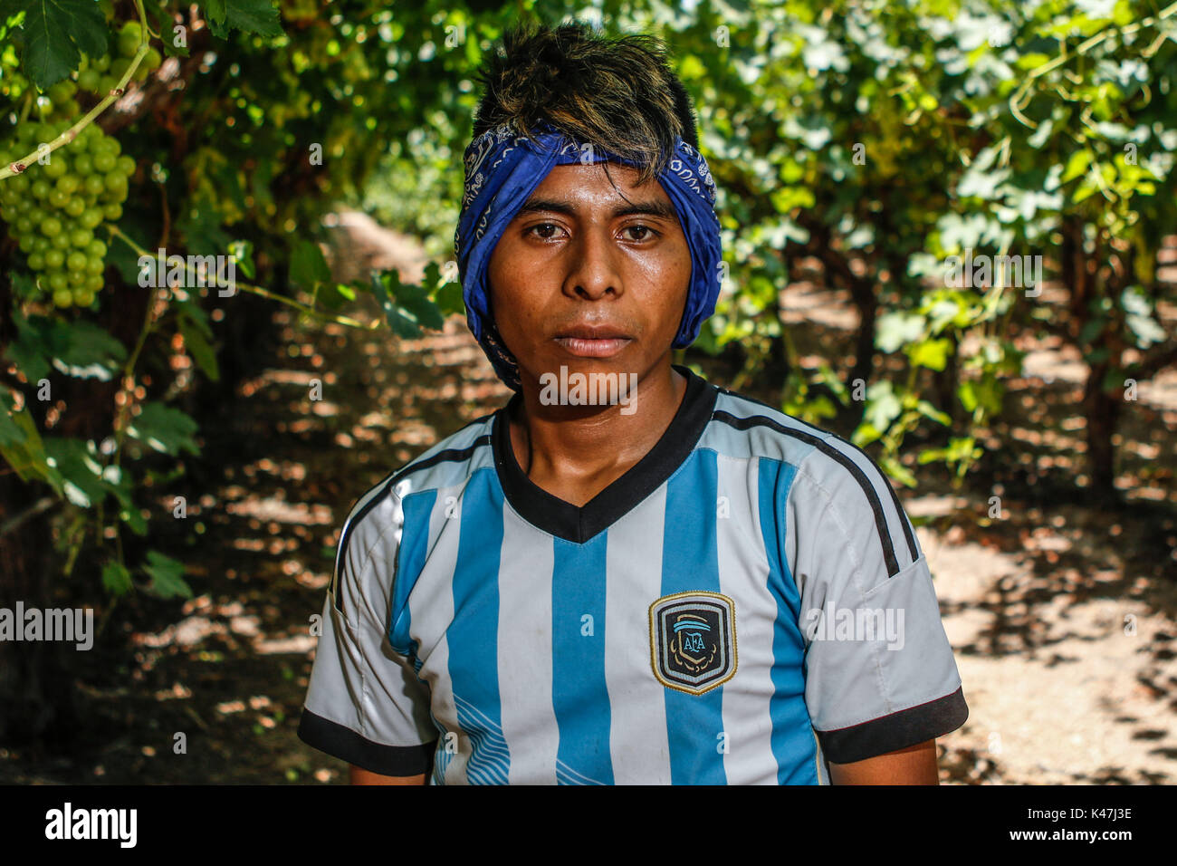 Mexican farm workers vineyards hi-res stock photography and images - Alamy
