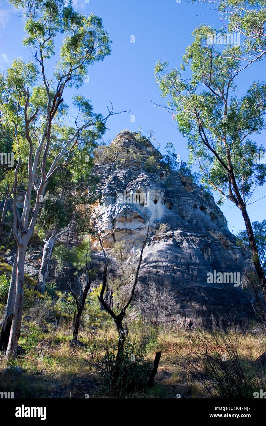 Aboriginal rock art carnarvon national hi-res stock photography and ...