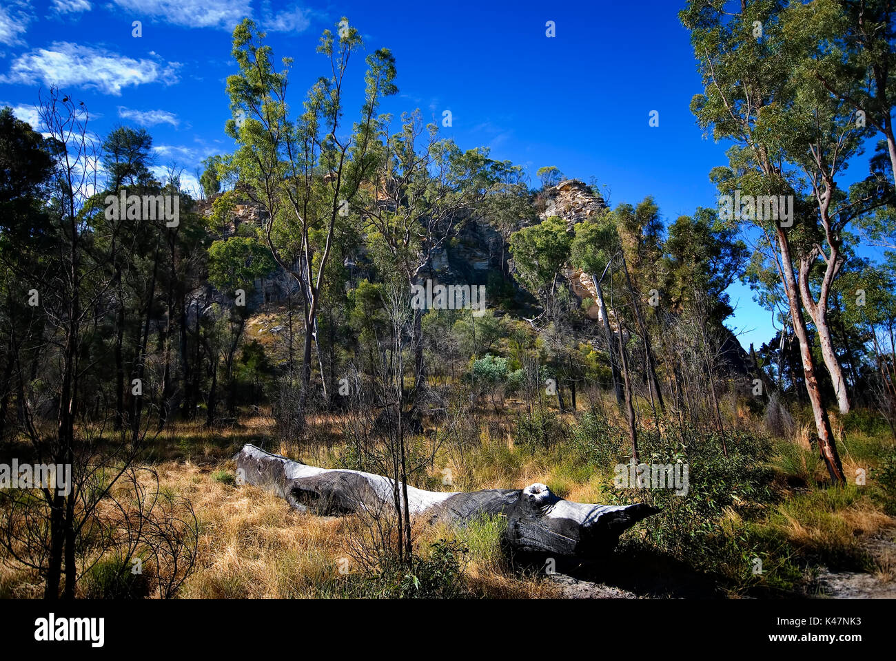 Mt Moffatt National Park Stock Photo - Alamy